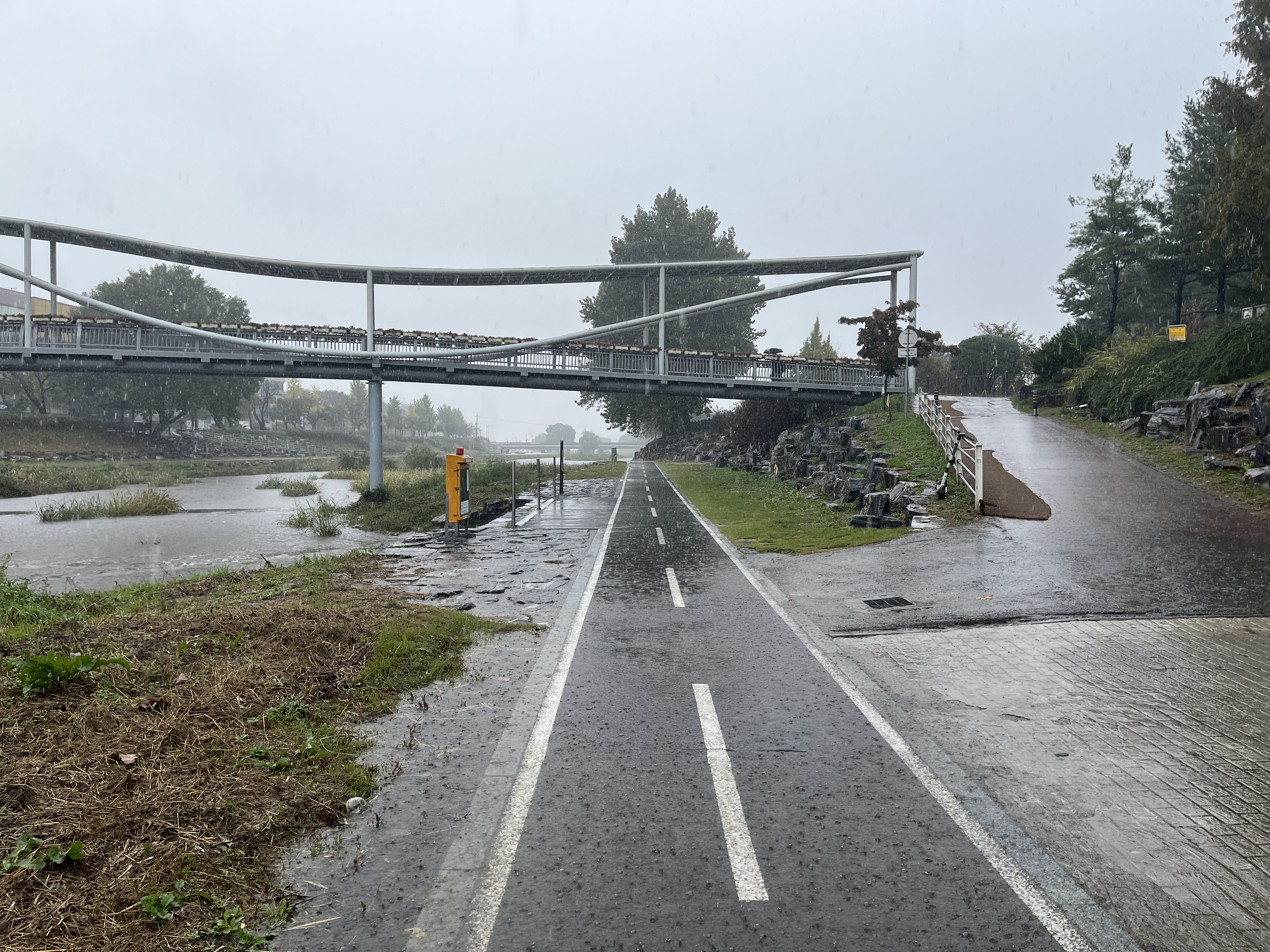 Walking Through the Rain: How Startups and Life Demand Courage Beyond ...